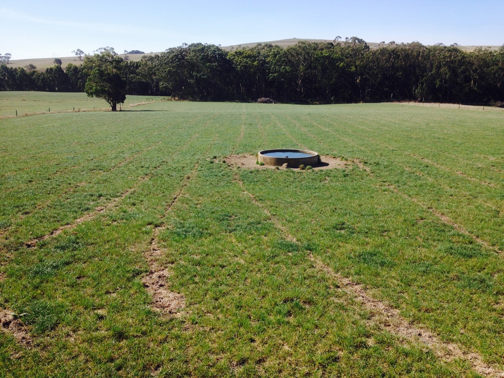 Image Gallery - Drain Tech